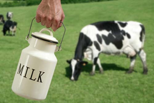 Produce clean milk by taking video course for only Rs. 600 (USD 8 ...